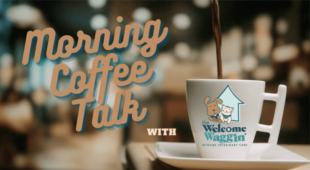 Morning Coffee Talk with The Welcome Waggin'